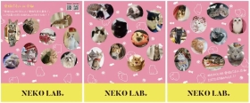 【NEKO LAB(ネコラボ)】京都高島屋 S.C.(T8)に初ポップアップショップ、猫クッキー缶･猫グッズ各種販売、限定ノベルティやインスタ企画パネル展示も - ランチバッグ